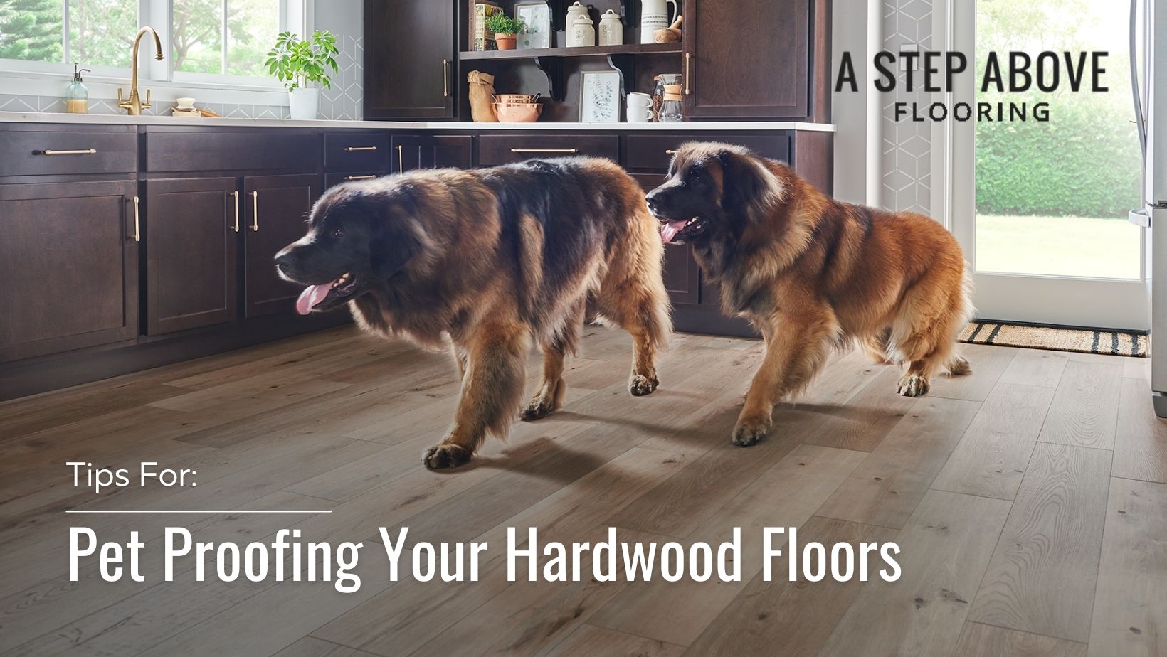 Tips for Pet Proofing Your Hardwood Floors | A Step Above Floors
