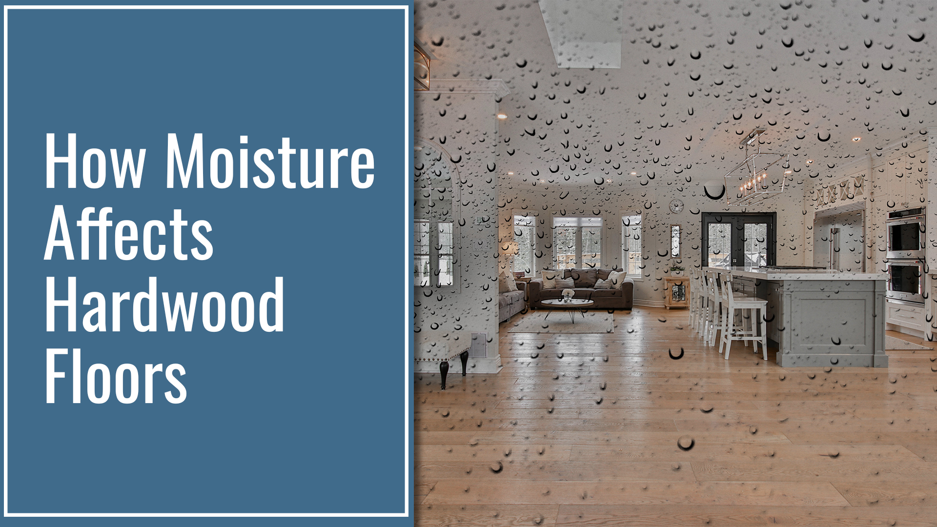 How Moisture Affects Hardwood Floors | A Step Above Floors