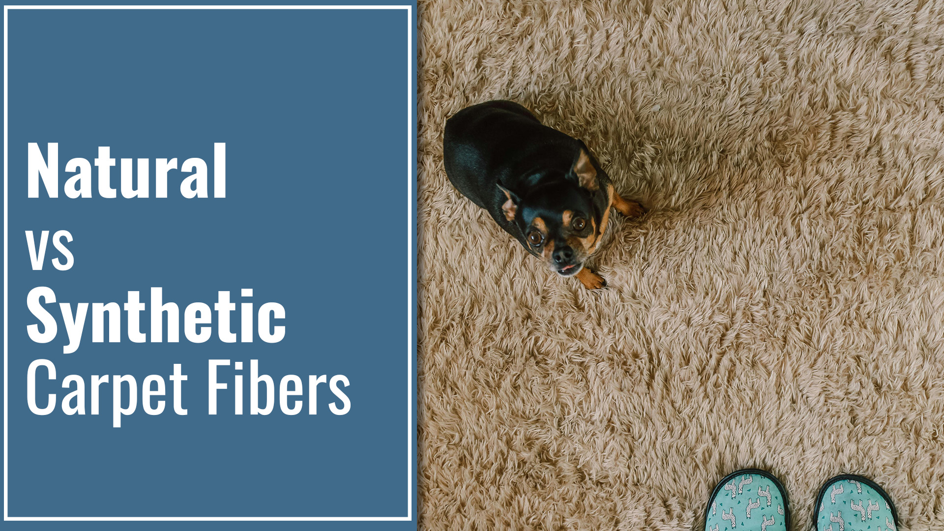 Natural Vs Synthetic Carpet Fibers | A Step Above Flooring