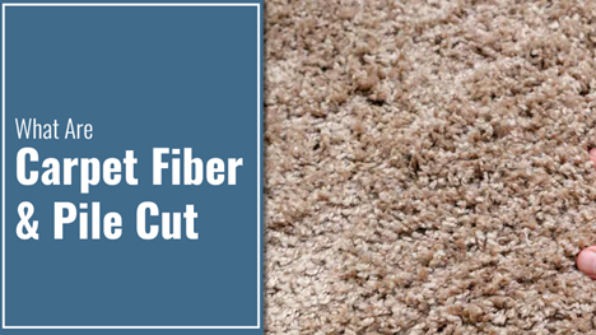 What are Carpet Fiber and Pile Cut? | A Step Above Flooring