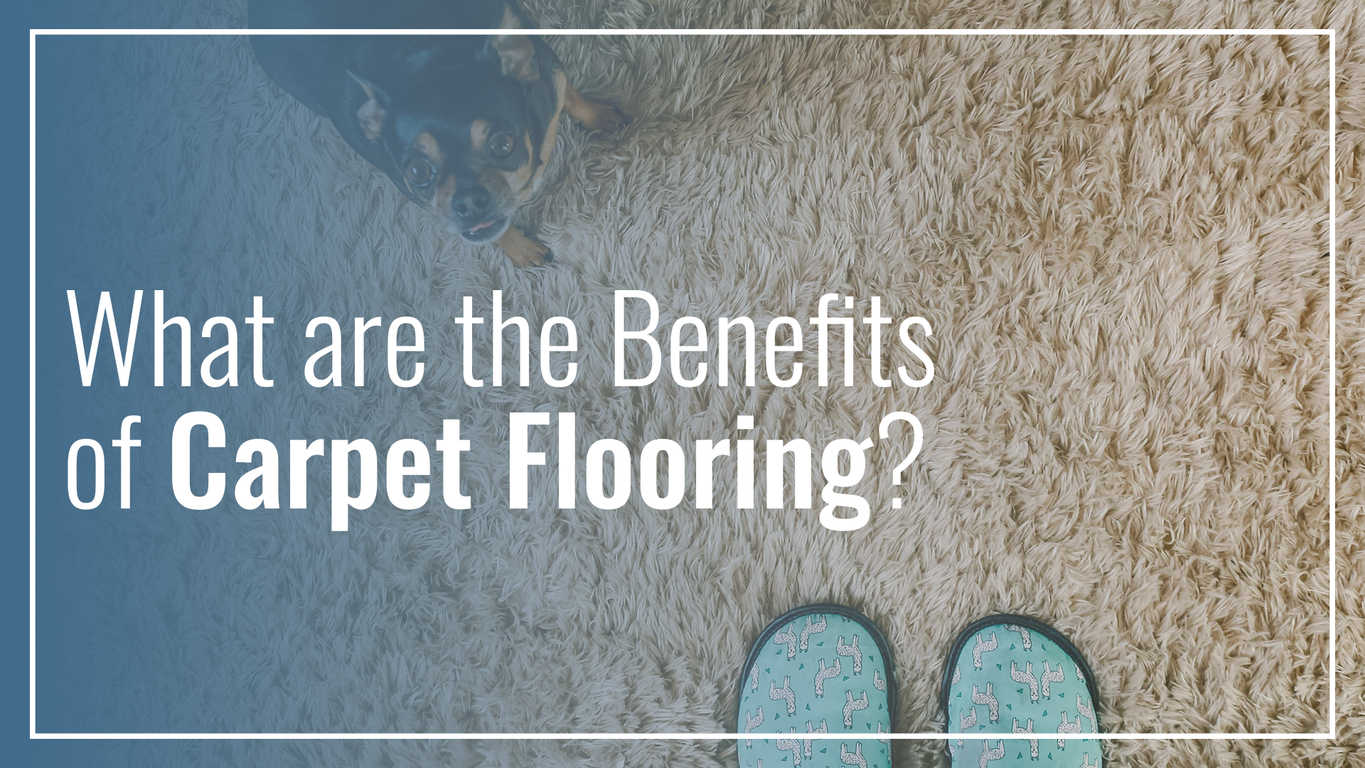 What are the Benefits of Carpet Flooring? | A Step Above Flooring